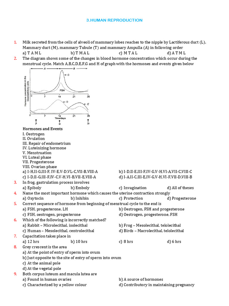 HUMAN REPRODUCTION QUESTIONS | PDF | Menstrual Cycle | Testicle