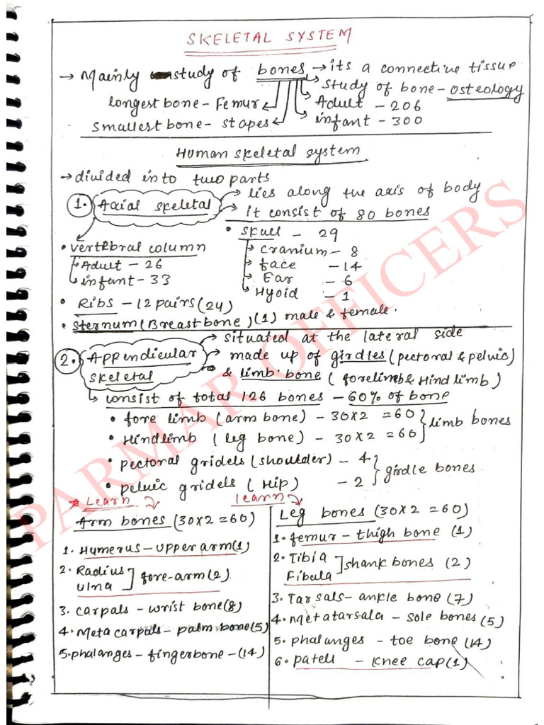 Skeletal System | PDF