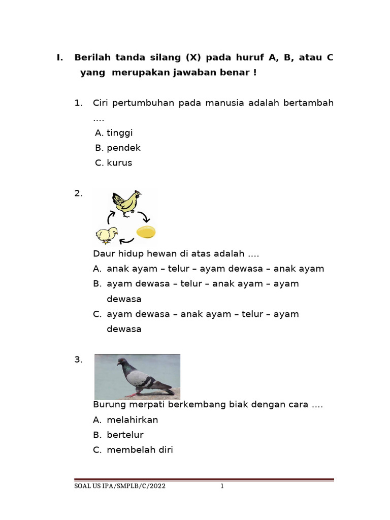 Soal Ujian SMPLB C Ipa | PDF