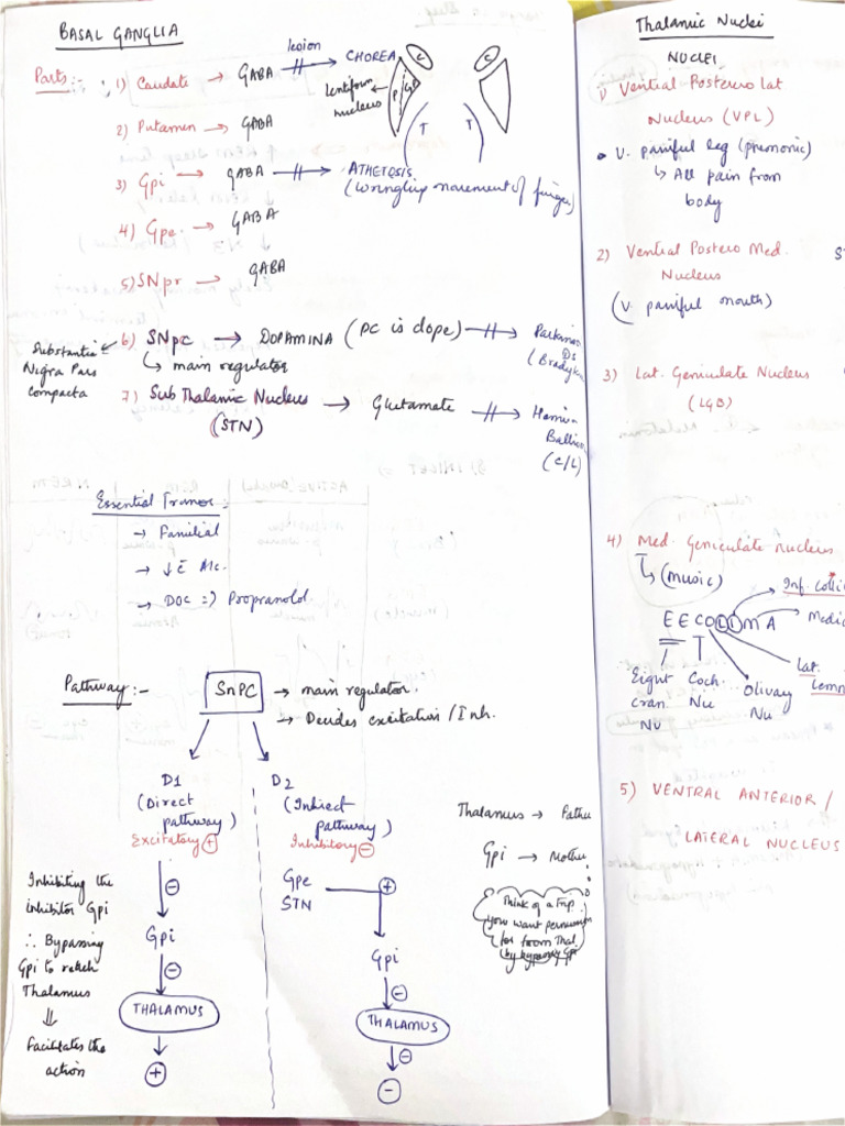 Neuro Physio | PDF