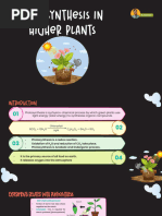 Photosynthesis Class 11 Biology NCERT | PDF | Photosynthesis | Chloroplast