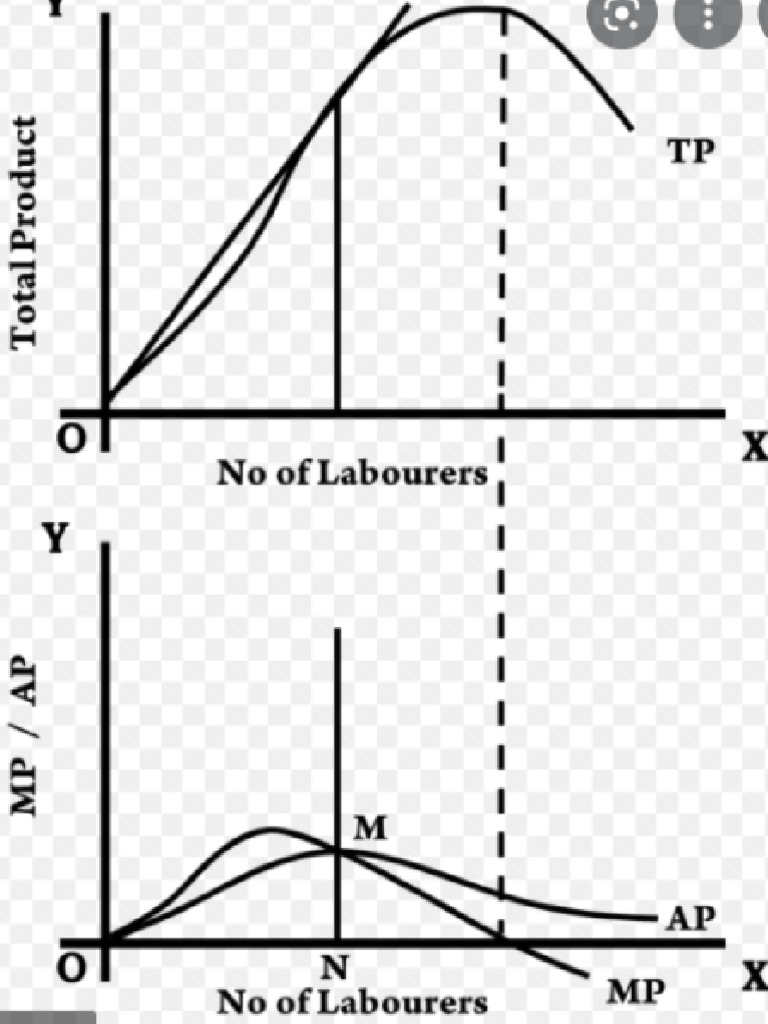 TP, Ap MP Graph | PDF