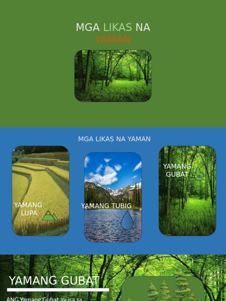 PP Presentation Yamang Gubat | PDF