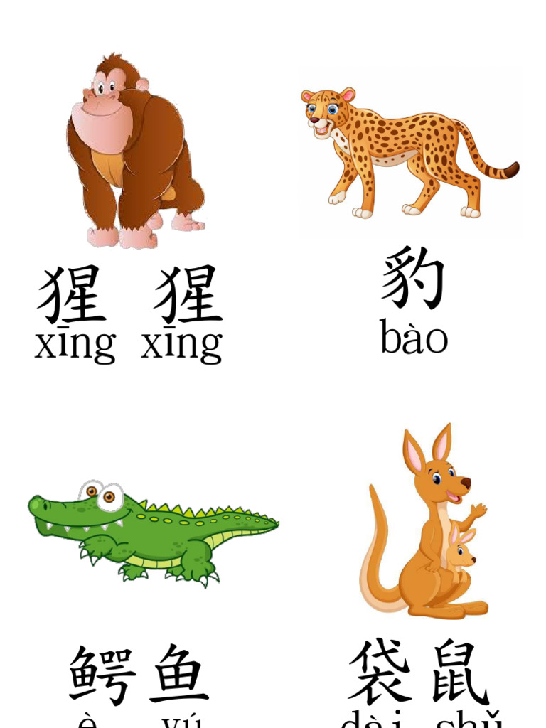 Animal Card With Pinyin | PDF