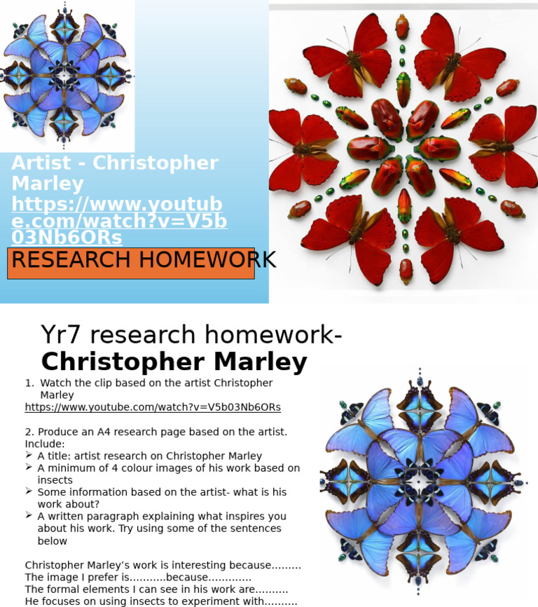 Christopher Marley Artist Research Guide | PDF
