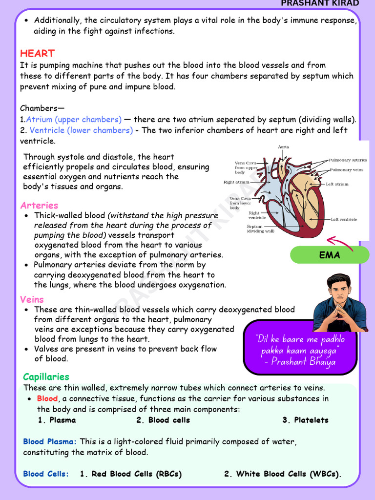 Life Processes - Short Notes (Prashant Kirad) | PDF | Blood | Heart