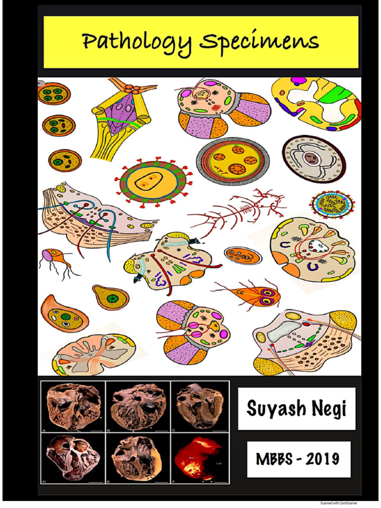 Patho Specimens | PDF