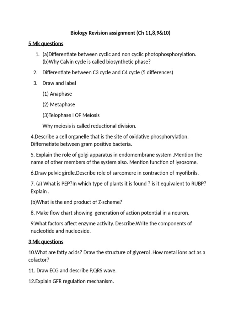 Revision Assignment Class 11 | PDF