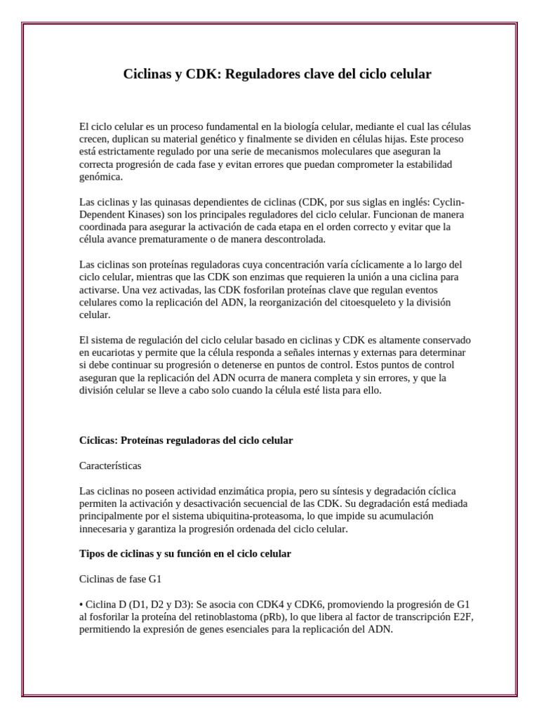 CDK, Ciclina, Cak, FBM | PDF | Ciclo celular | Biología Celular