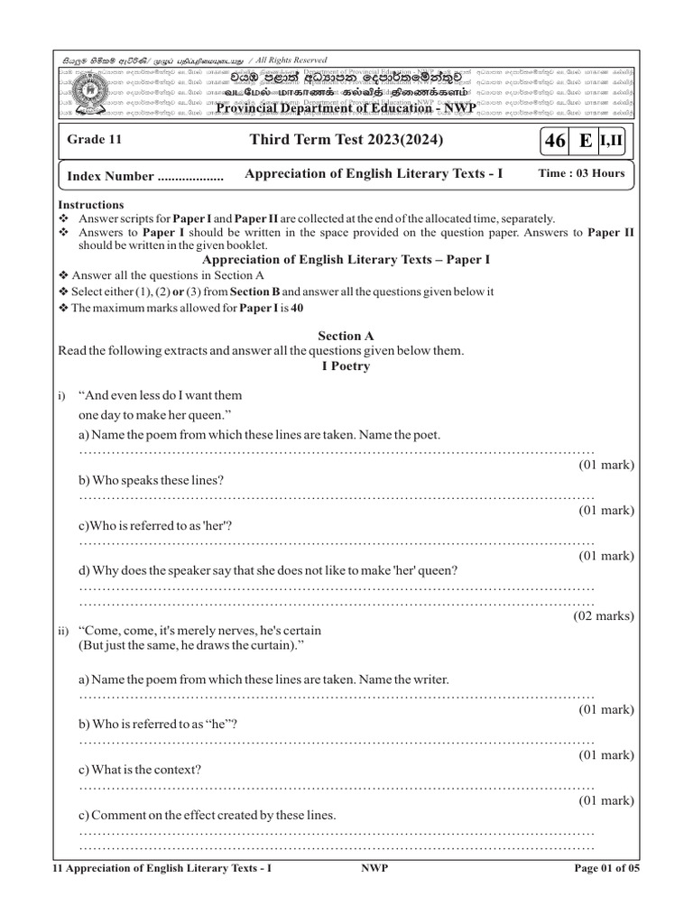 Grade 11 English Literature Term 3 Test | PDF