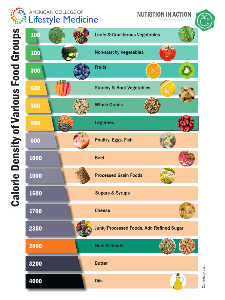 Calorie Density of Food Groups Chart | PDF