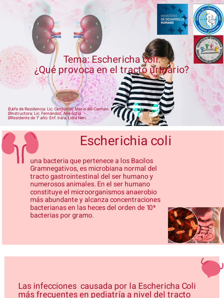 Infecciones Urinarias por E. coli en Niños | PDF | Escherichia coli ...