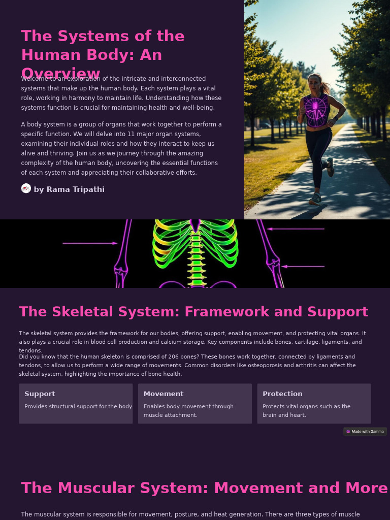 The Systems of The Human Body An Overview | PDF | Circulatory System ...