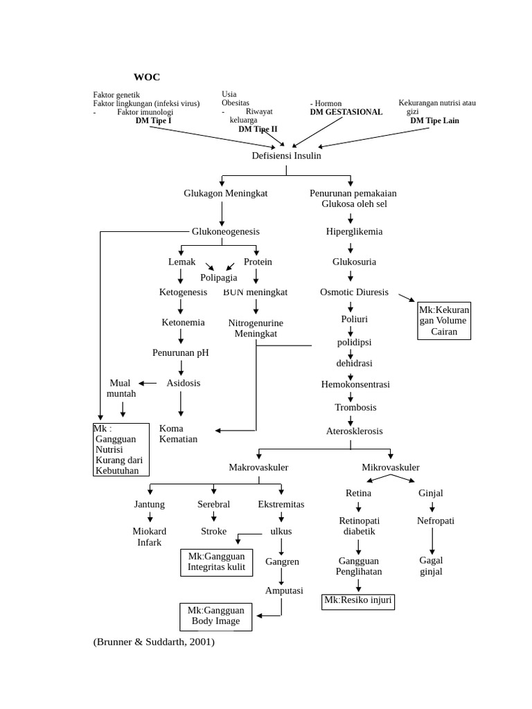 Woc Ulkus Diabetikum | PDF