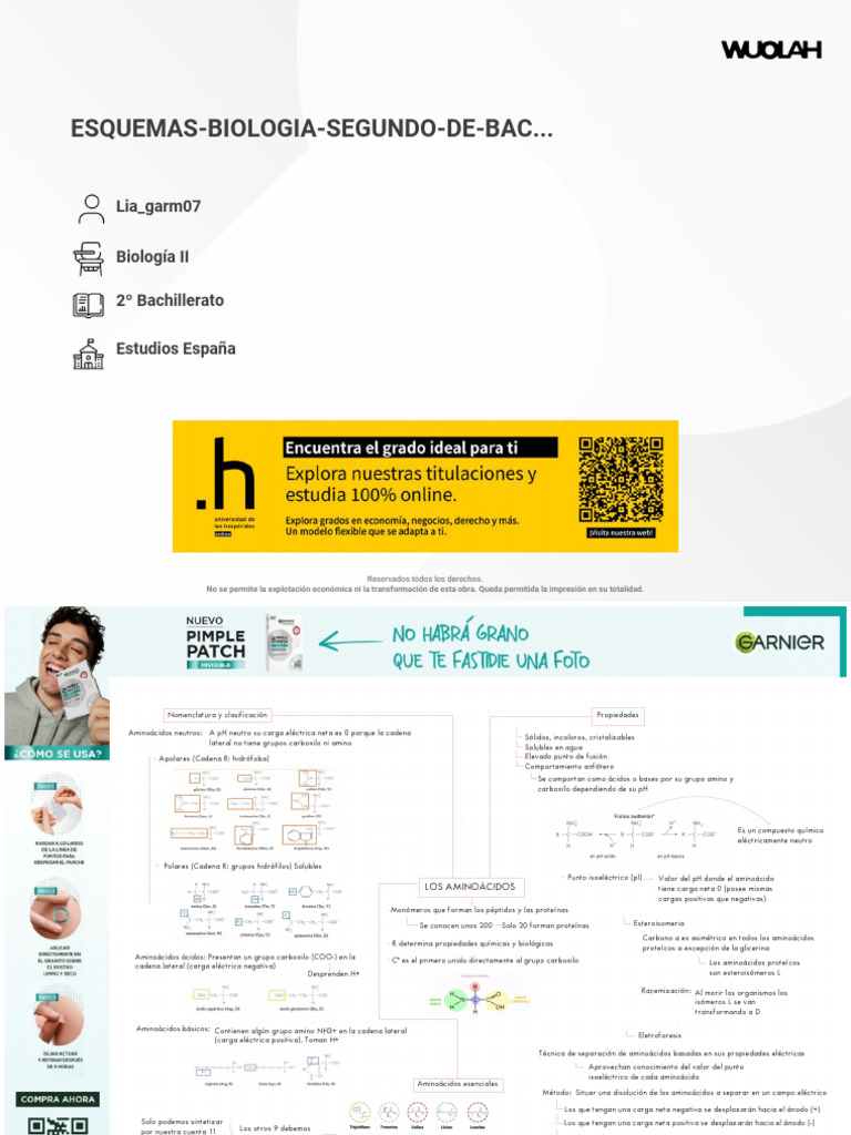 Wuolah Free ESQUEMAS BIOLOGIA SEGUNDO DE BACHILLERATO TEMA 4 COMPLETO LAS PROTEINAS | PDF ...