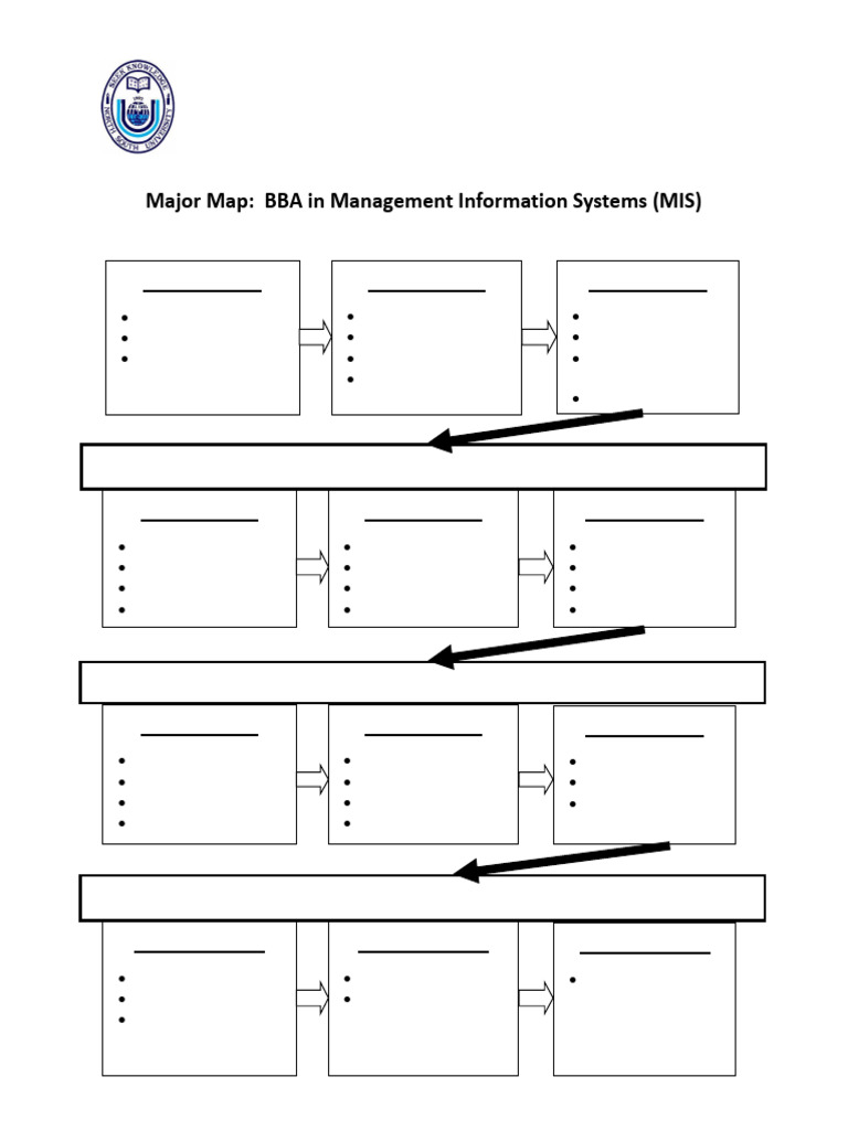 BBA in Management Information Systems | PDF | Behavioural Sciences ...