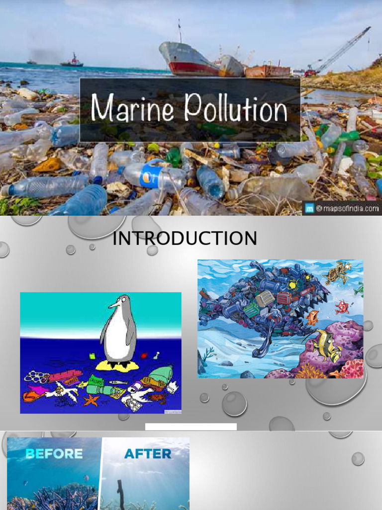 Marine Pollution: Causes and Solutions | PDF