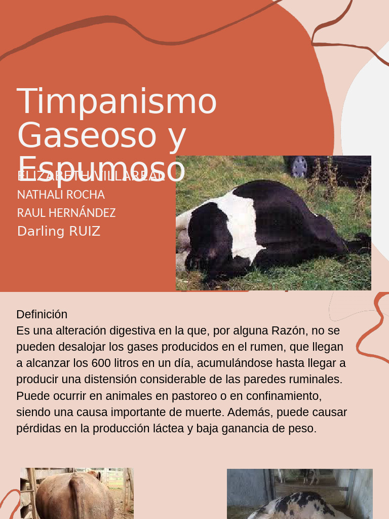 Timpanismo Espumoso y Gaseoso 4 | PDF | Gases