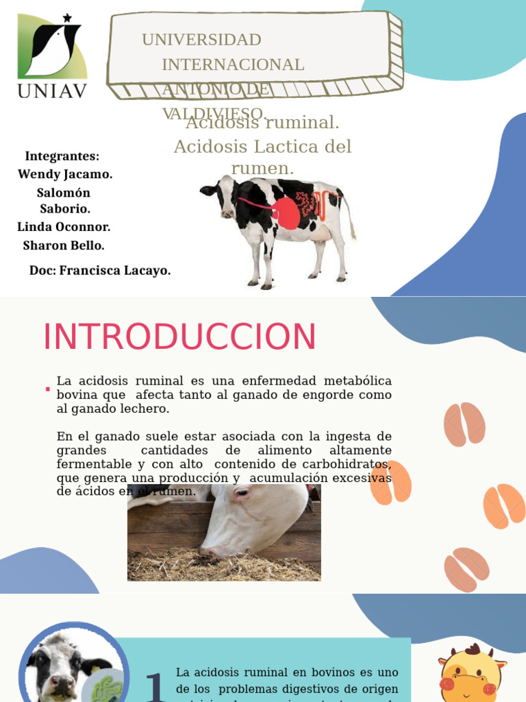 Acidosis Ruminal 0.1 | PDF | Vacas | Alimentos