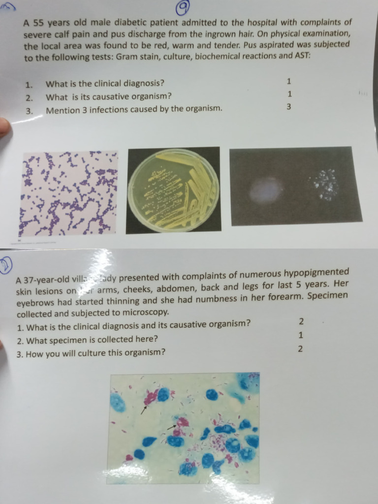 Bacteriology Ospe | PDF
