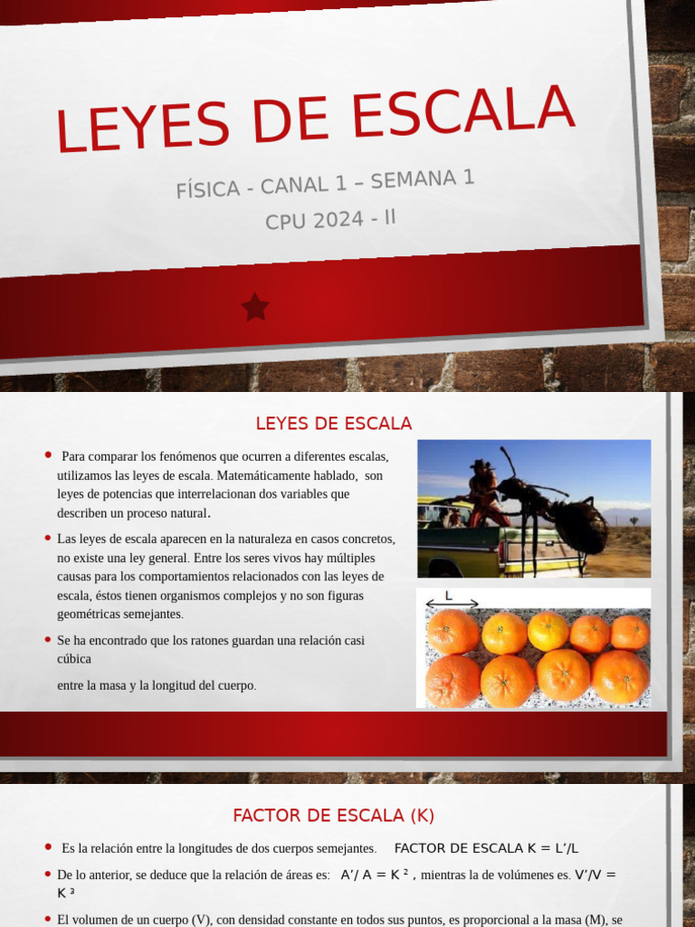 Leyes de Escala | PDF | Volumen | Masa