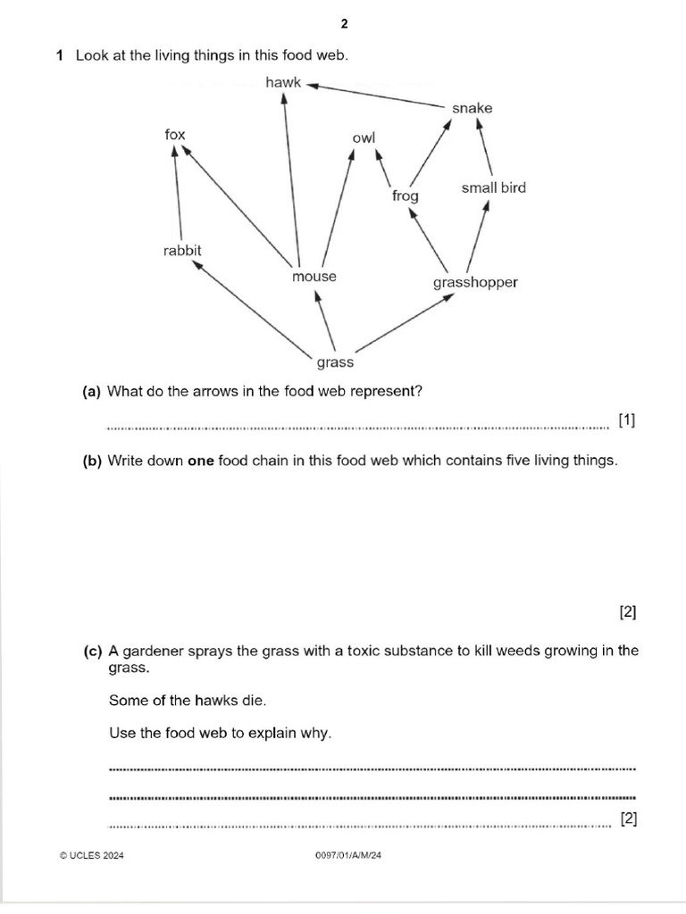 Science Checkpoint 2024 1 | PDF