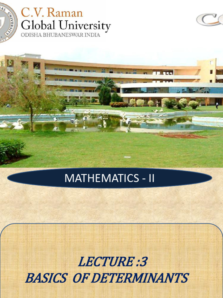Basics of Determinants in Mathematics | PDF | Determinant | Matrix ...
