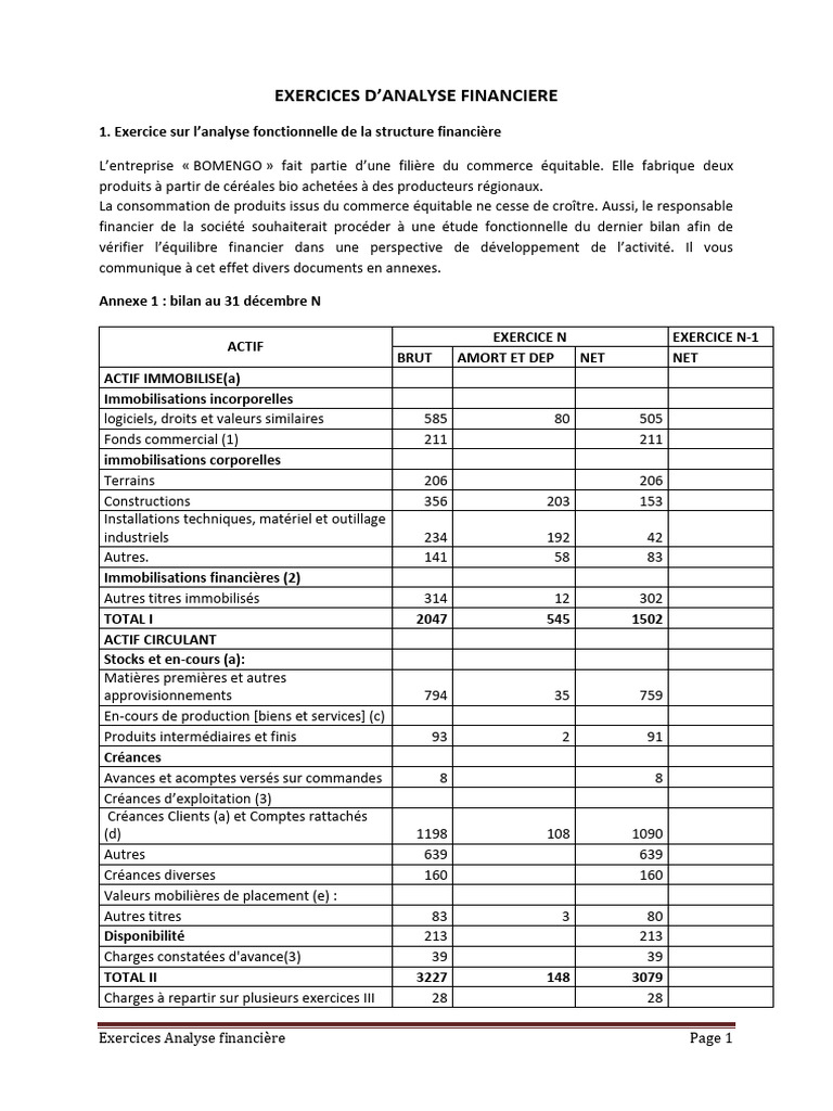 TP Analyse Financière | PDF | Revenu brut | Capitaux propres
