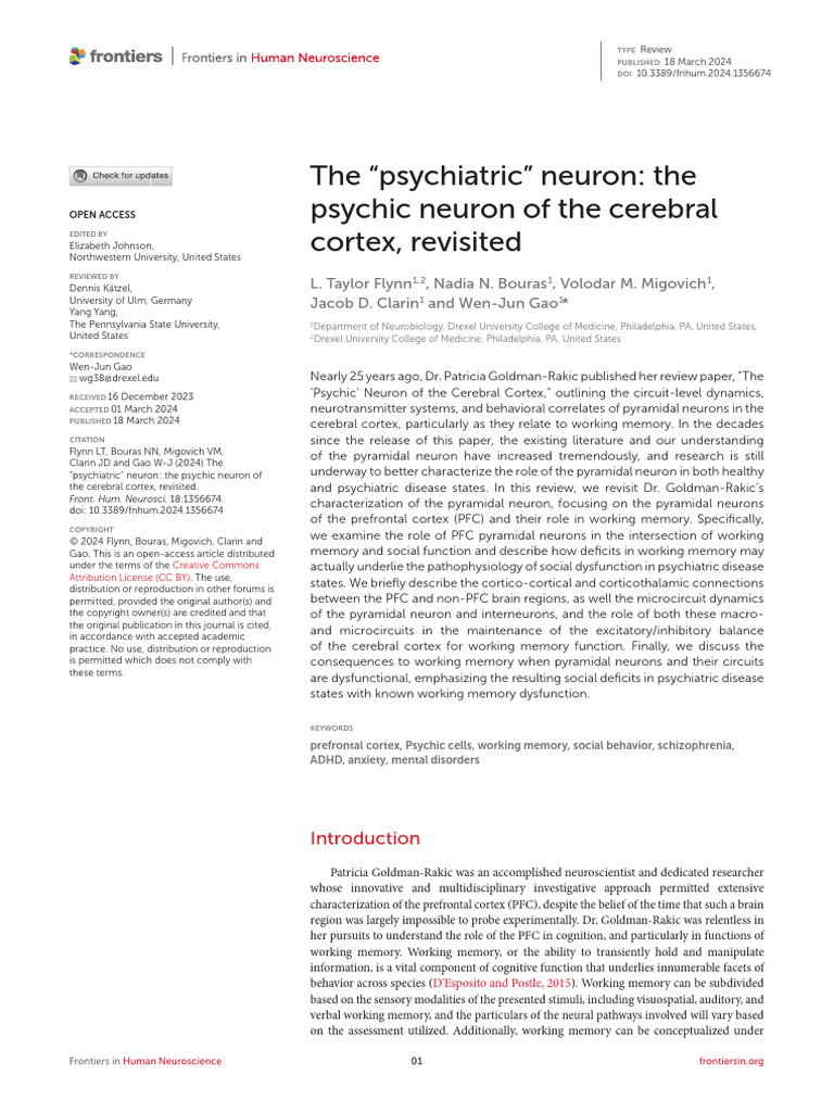 Frontiers of neuropsychiatry | PDF | Working Memory | Prefrontal Cortex