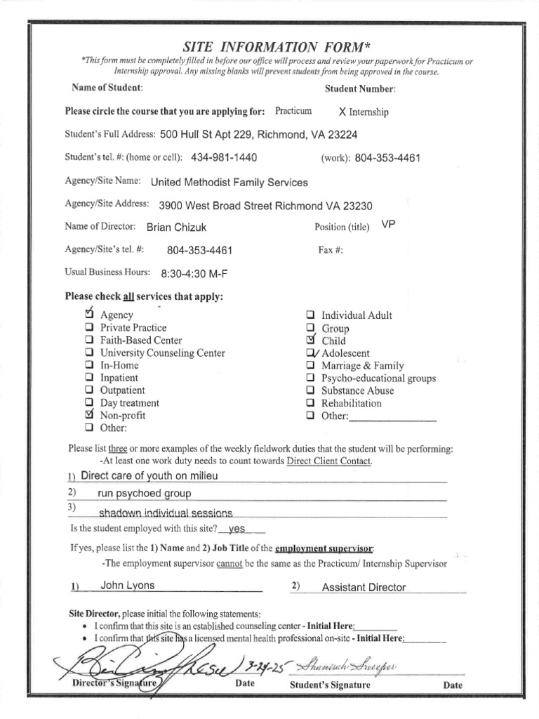 SS Intern Sheet | PDF