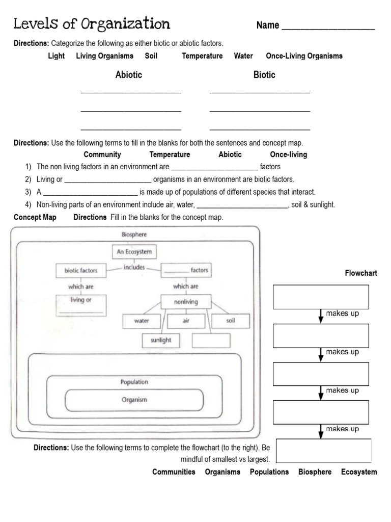 Levels of Organization | PDF