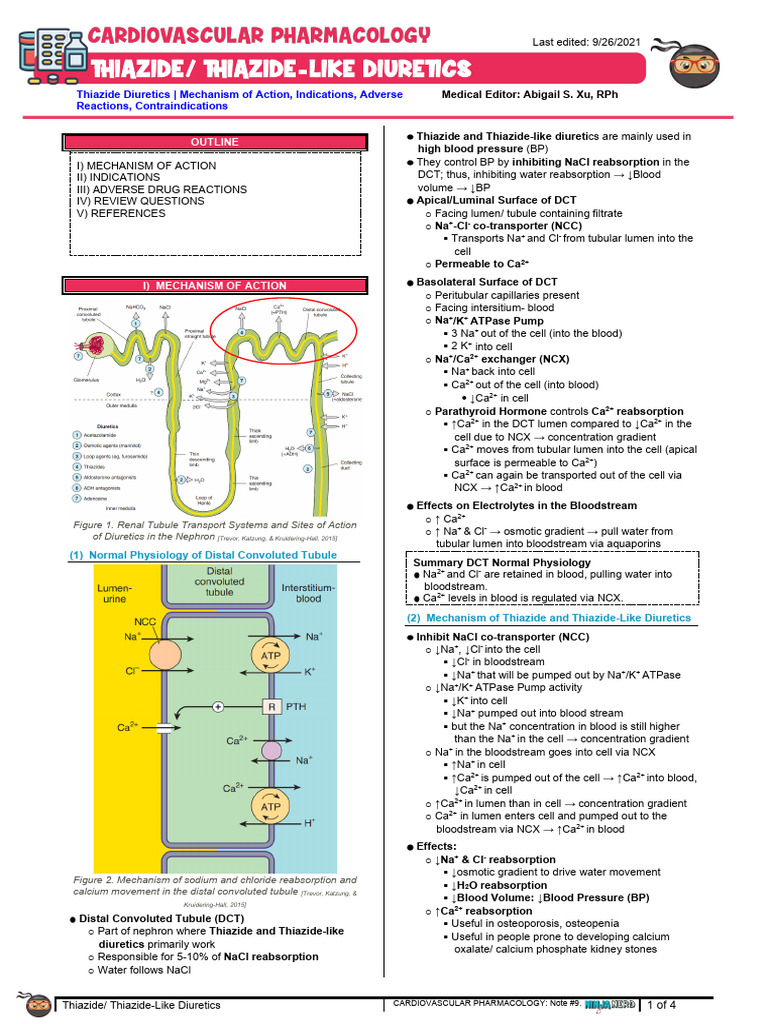 Thiazide Diuretics Mechanism of Action, Indications, Adverse Reactions ...