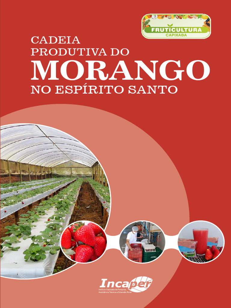 Cadeia Produtiva Morango Incaper | PDF | Agricultura | Economia
