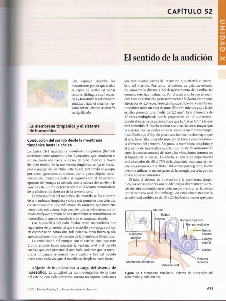 Audición y Fonación Guyton y Hall | PDF | Oído | Escuchando