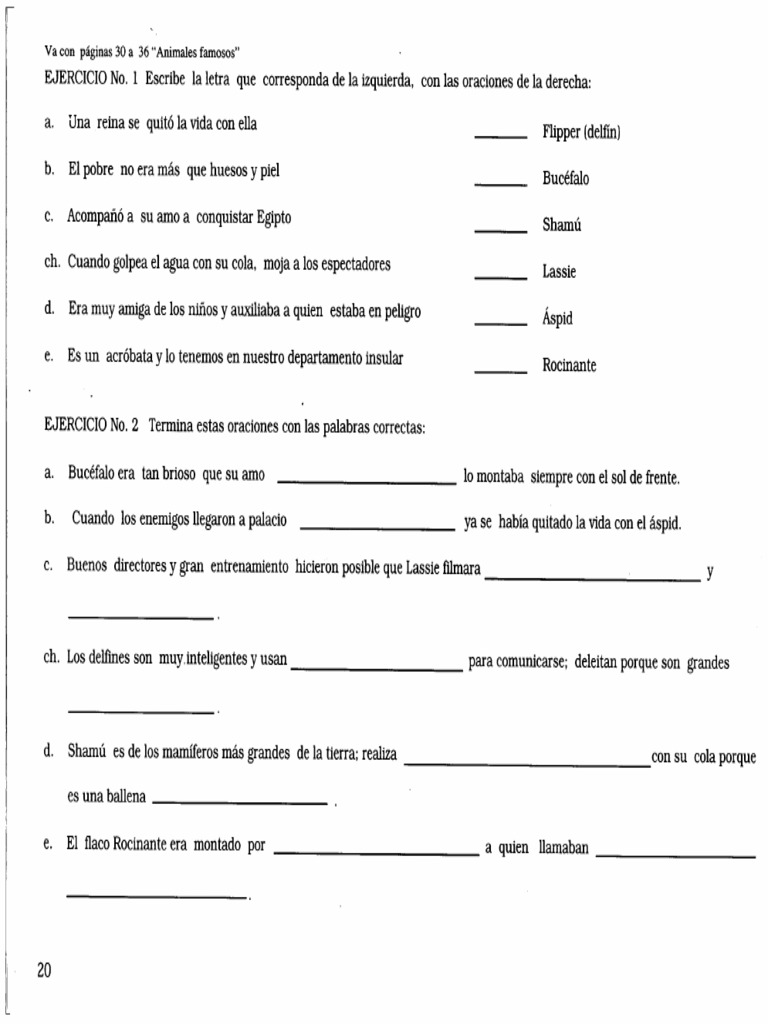 6to Español Catrachitos | PDF