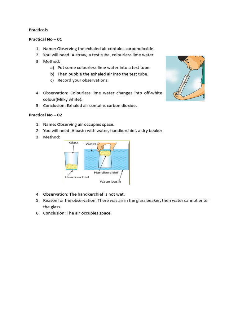 Science Practical Experiments on Air and Liquids | PDF
