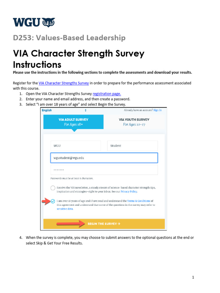 VIA Character Strengths Survey Guide | PDF