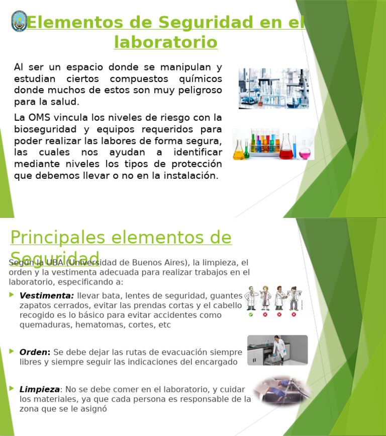 Elementos de Seguridad en El Laboratorio | PDF