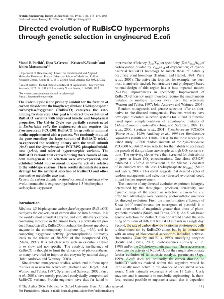 RuBisCo_ea767065a21fd27100c8ac5dbce315c1 | PDF | Western Blot ...