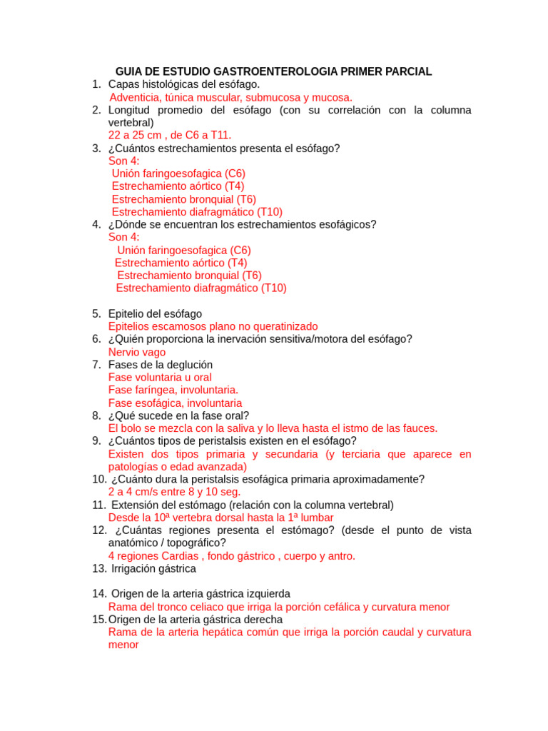 GUIA-DE-ESTUDIO PRIMER-PARCIAL-2 | PDF | Estómago | Páncreas