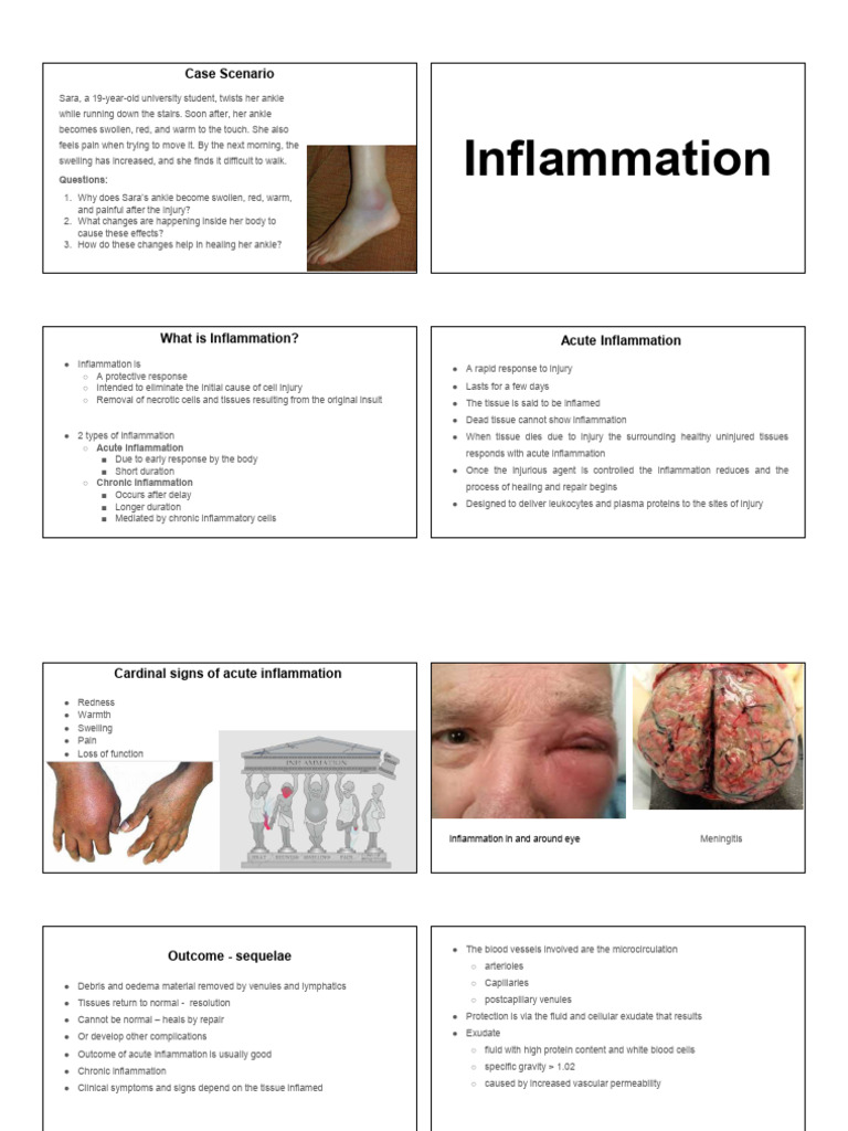 Acute Inflammation | PDF | Inflammation | White Blood Cell