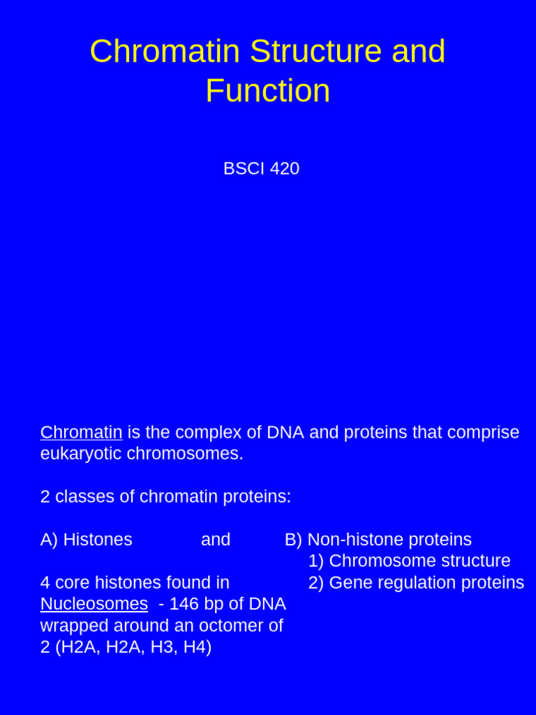 Chromatin 1 | PDF