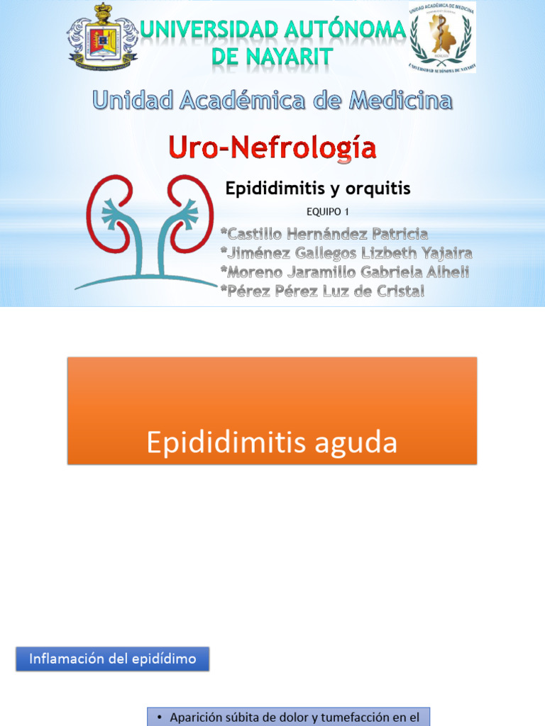 Tratamiento de Epididimitis y Orquitis | PDF | Especialidades Medicas ...