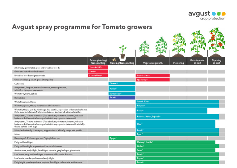 Tomato Spray Program Overview 2025 | PDF | Tomato | Potato