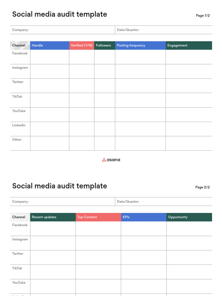 Social Media Audit Template | PDF