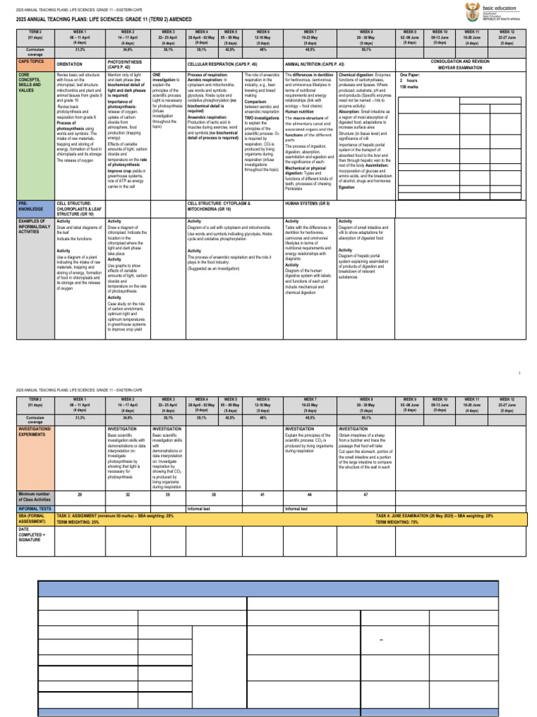 2025 ATP GR 11 Term 2 Eastern Cape | PDF | Cellular Respiration | Digestion