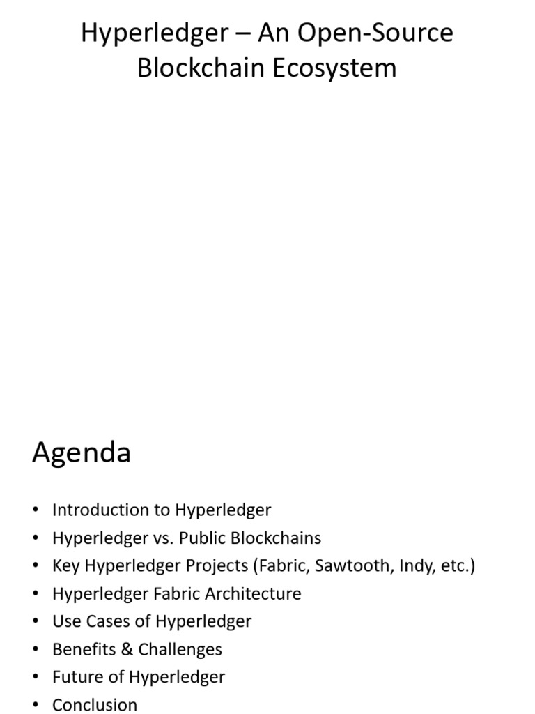 Hyperledger Presentation | PDF | Information Technology | Applications Of Cryptography