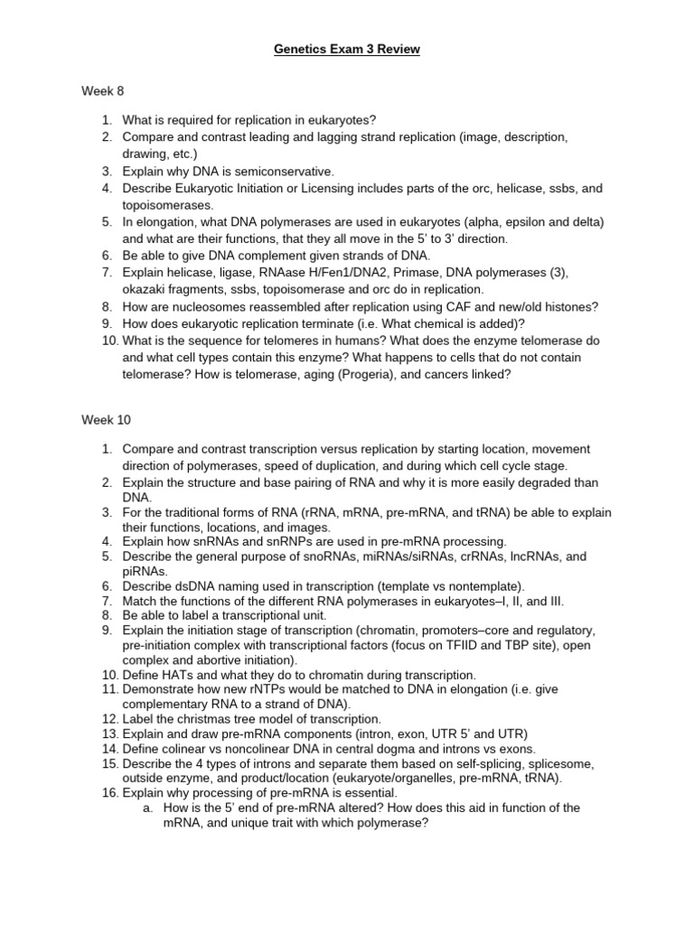 Genetics Exam 3 Study Guide Pdf Dna Replication Translation Biology