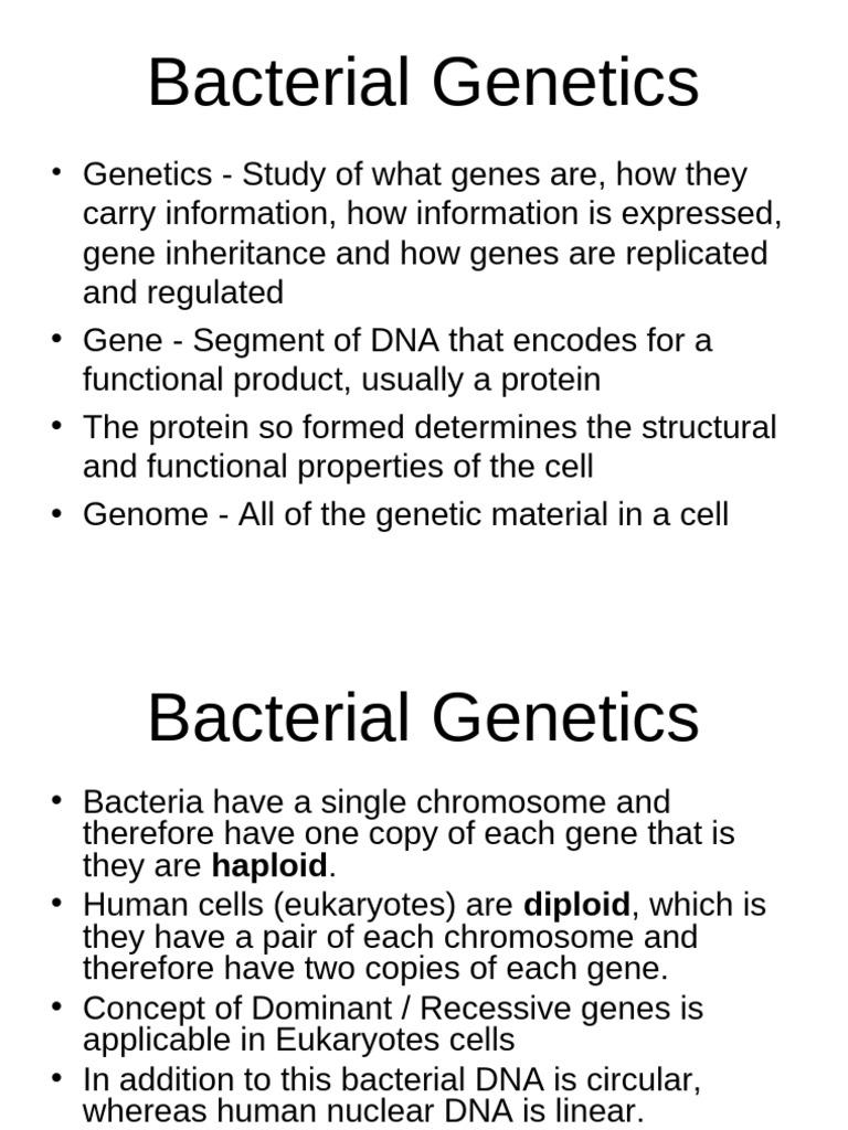 6 Bacterial Genetics | PDF | Gene | Genetics