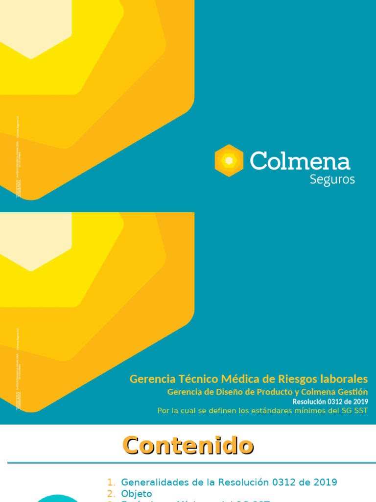 Presentación Resolucion 0312 de 2019 | PDF | Higiene Ocupacional